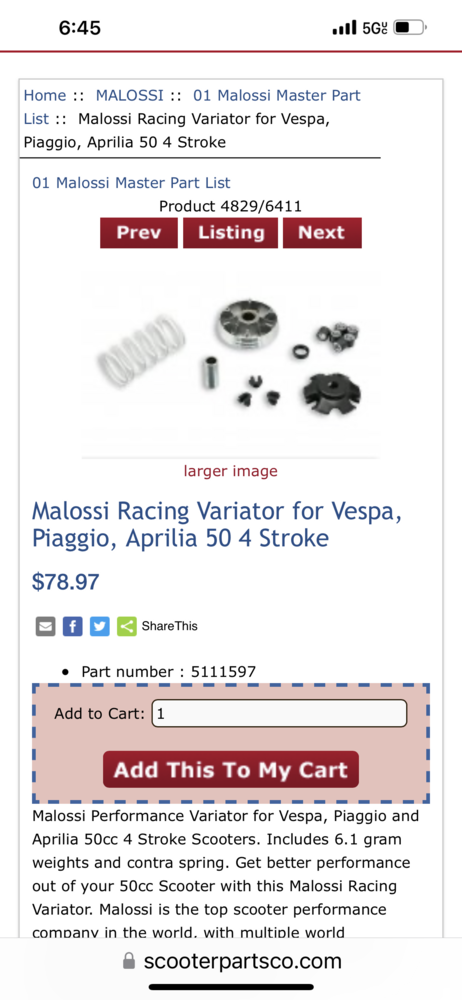 Modern Vespa : Variator Issue