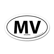 Modern Vespa : did i see a mv sticker?