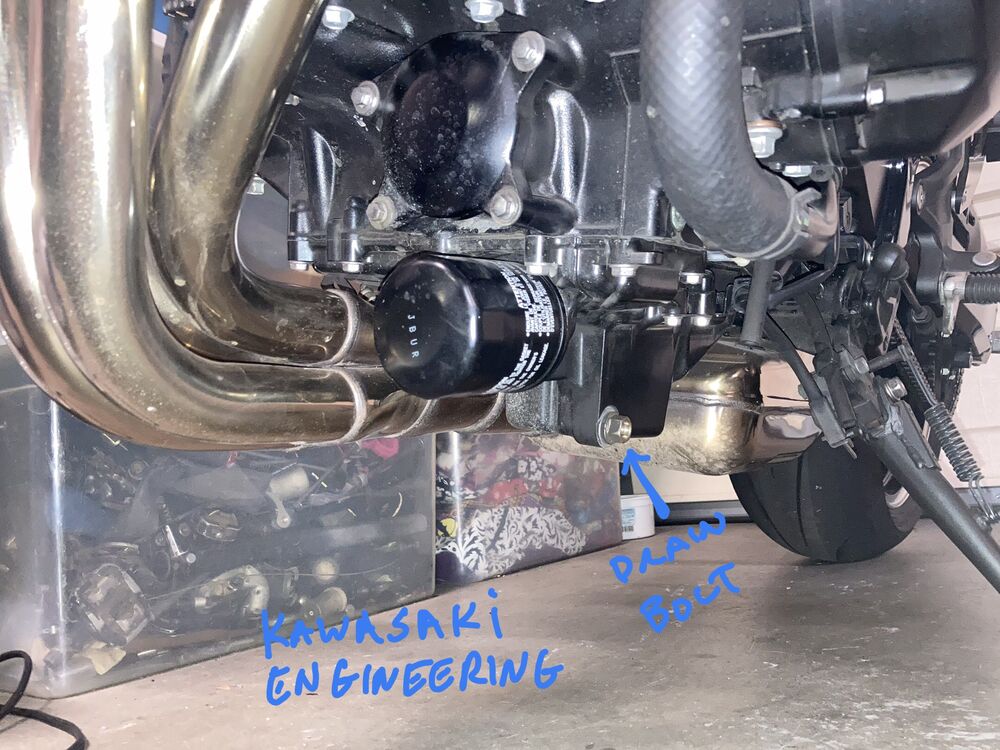 Modern Vespa : You know you are stupid when you:-