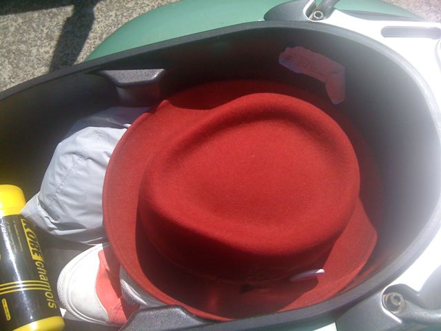 Modern Vespa : things that fit in the pet carrier