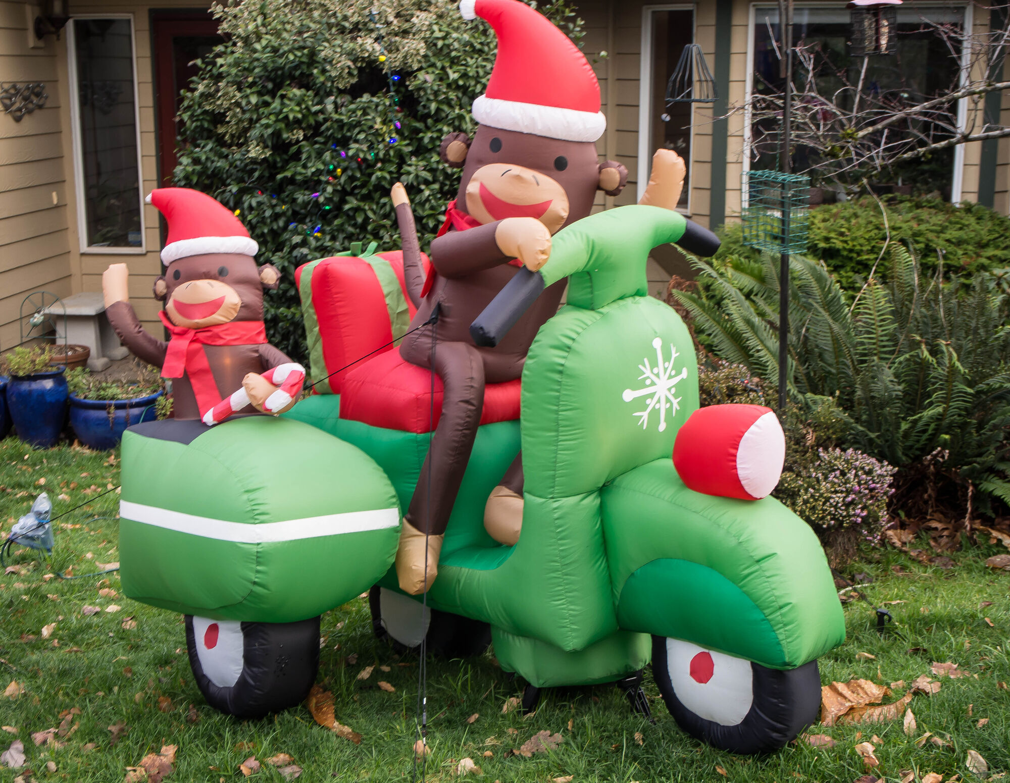 Modern Vespa : (SSR) My newest scooter arrived in the mail yesterday