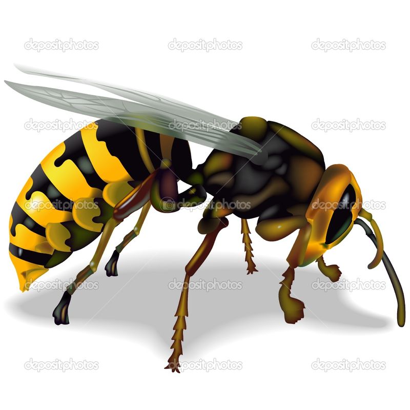 Modern Vespa : Angry Wasp Stickers