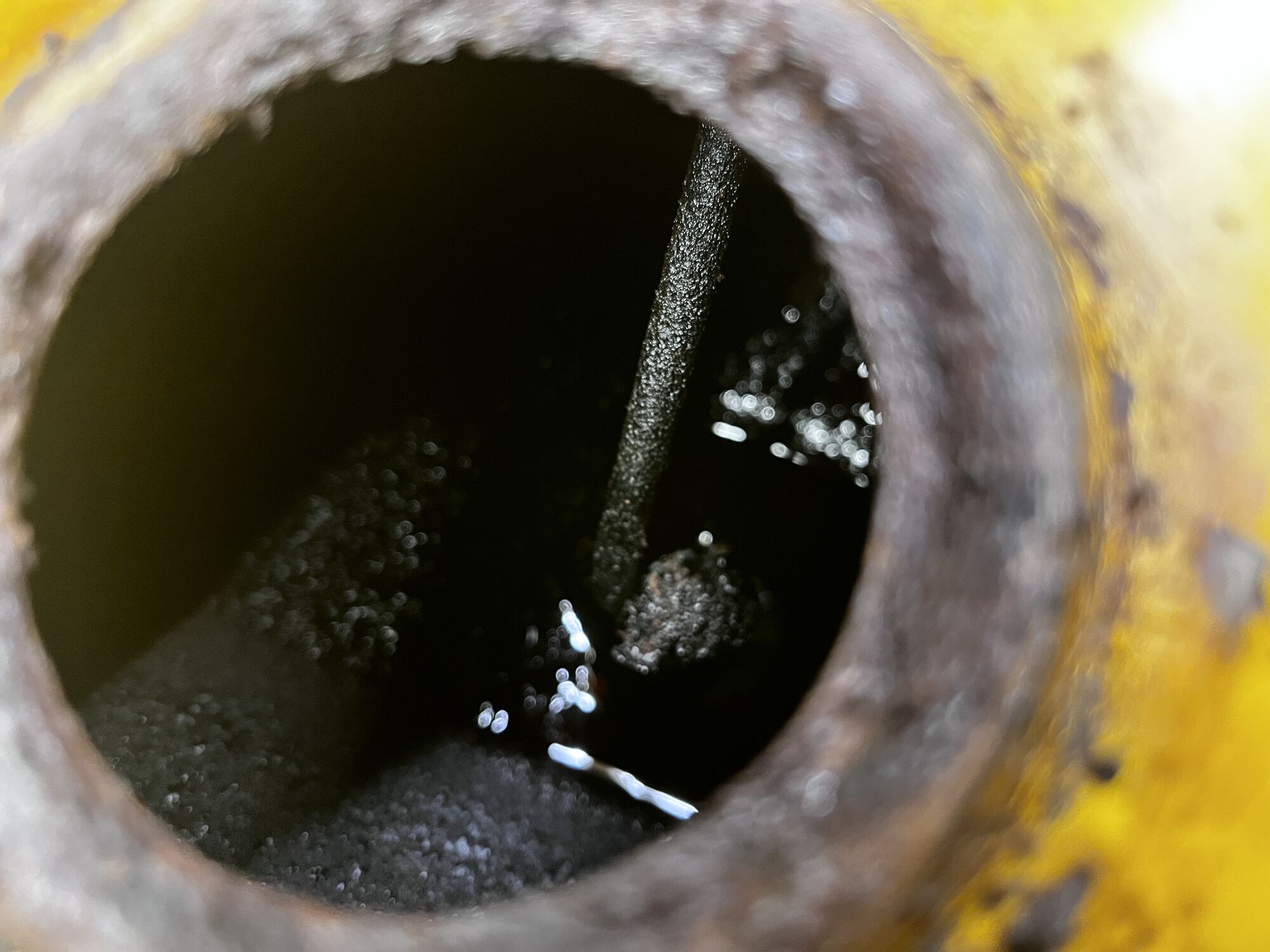 Modern Vespa : 1964 Golden Yellow GL