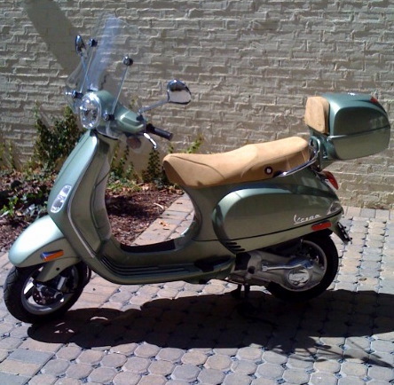Modern Vespa : Fly screen advice