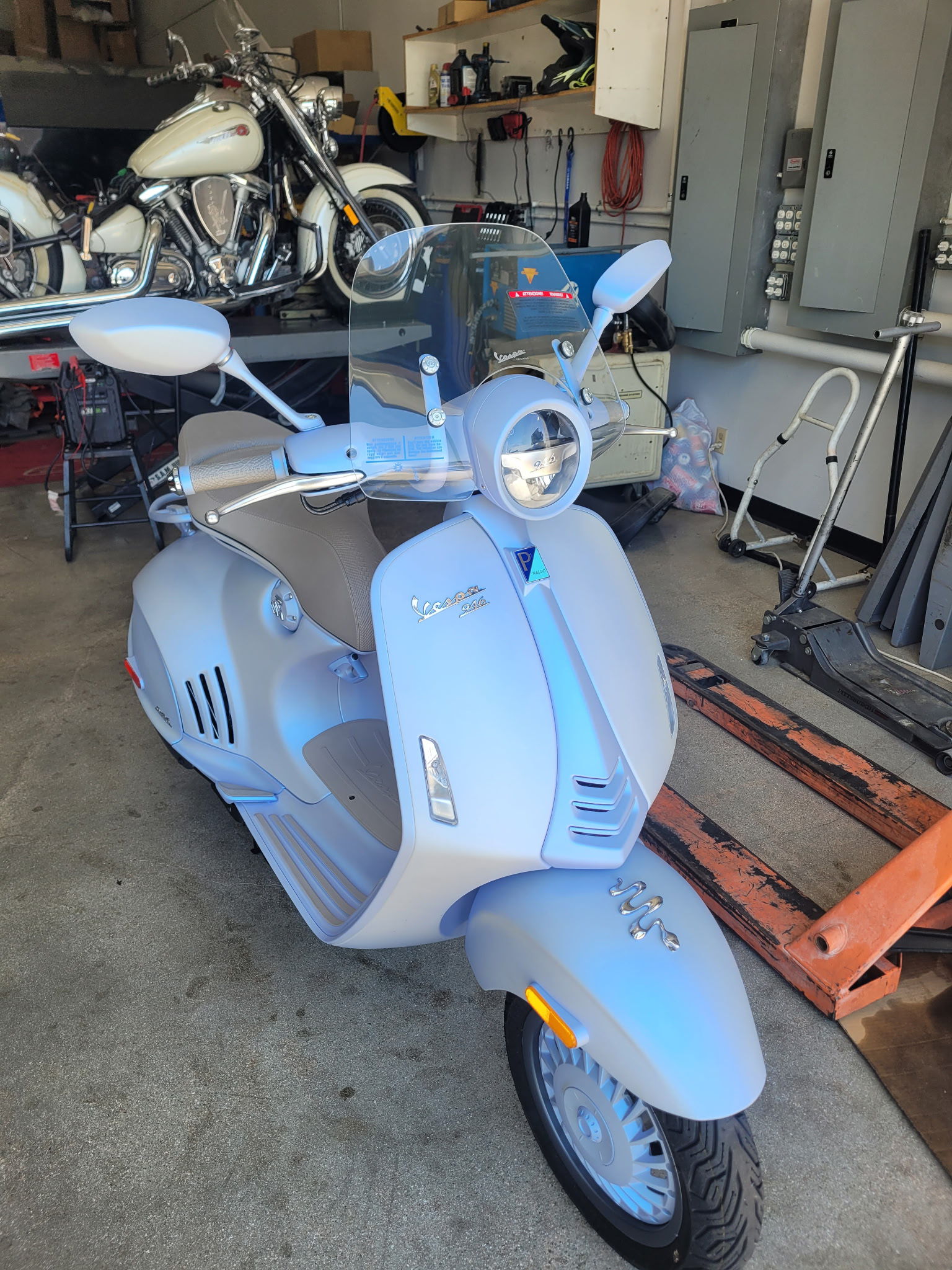 Modern Vespa : Fly screen arrived 946 Snake