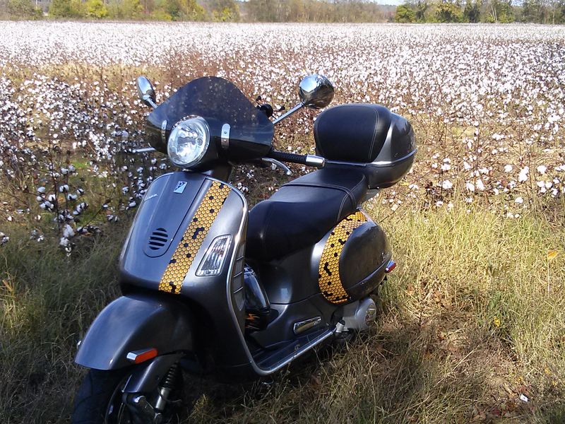 Modern Vespa : New racing stripe.