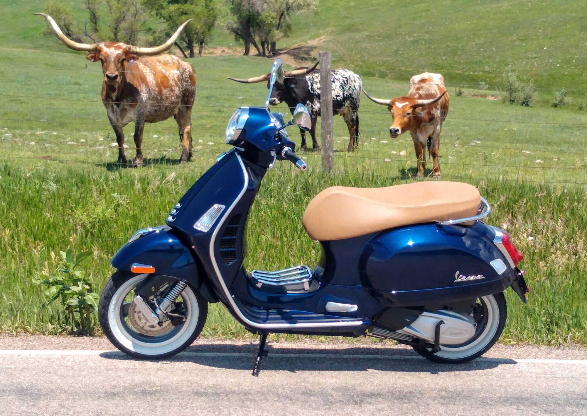 Modern Vespa : Share Pictures of Your Beloved Vespas Here