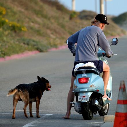 Modern Vespa : Celebrity Scooters