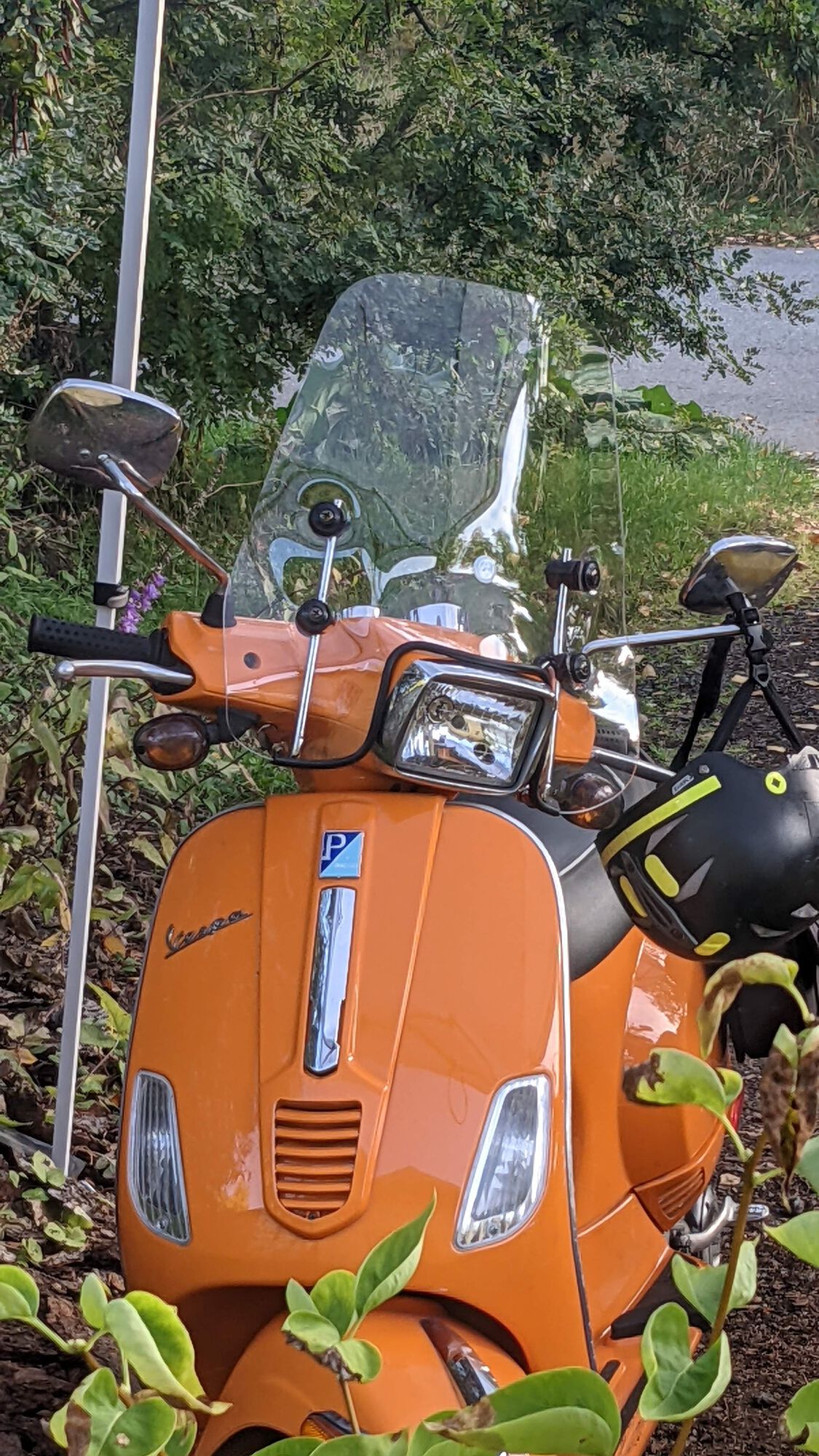 Modern Vespa : 2009 S 50 Upgrade to 150cc--Transplant candidates