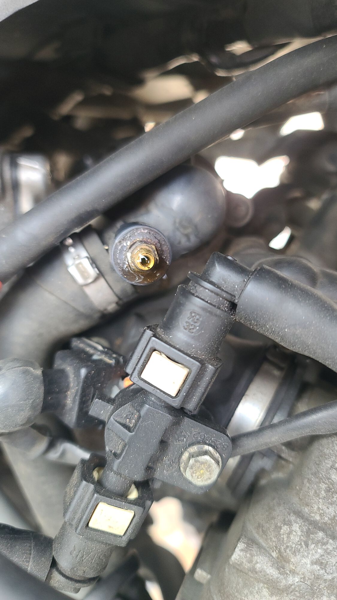 Modern Vespa : Leaking coolant from bleeder valve