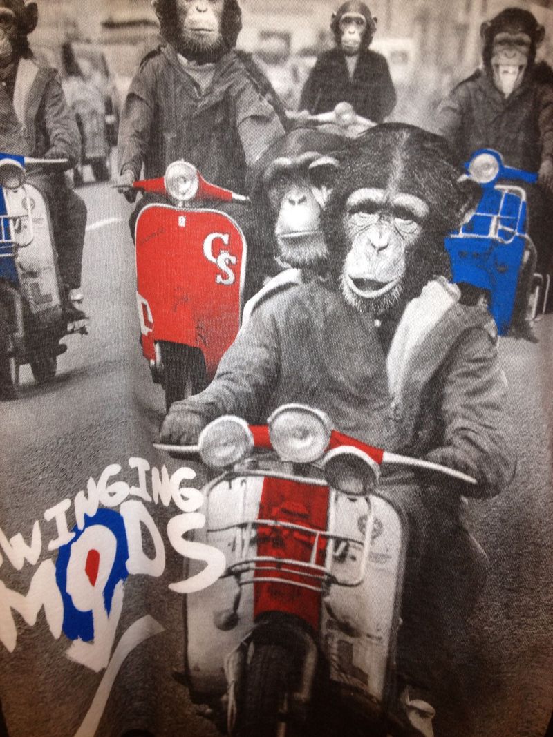 Modern Vespa : Simian and other non-human Bipedal Scooteristas