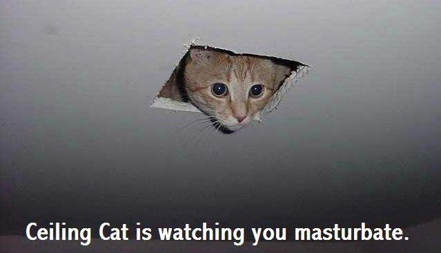 Modern Vespa : Tubeless flat tip...