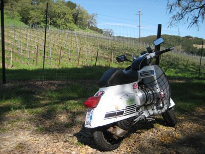 Modern Vespa : license plate on smallframe?