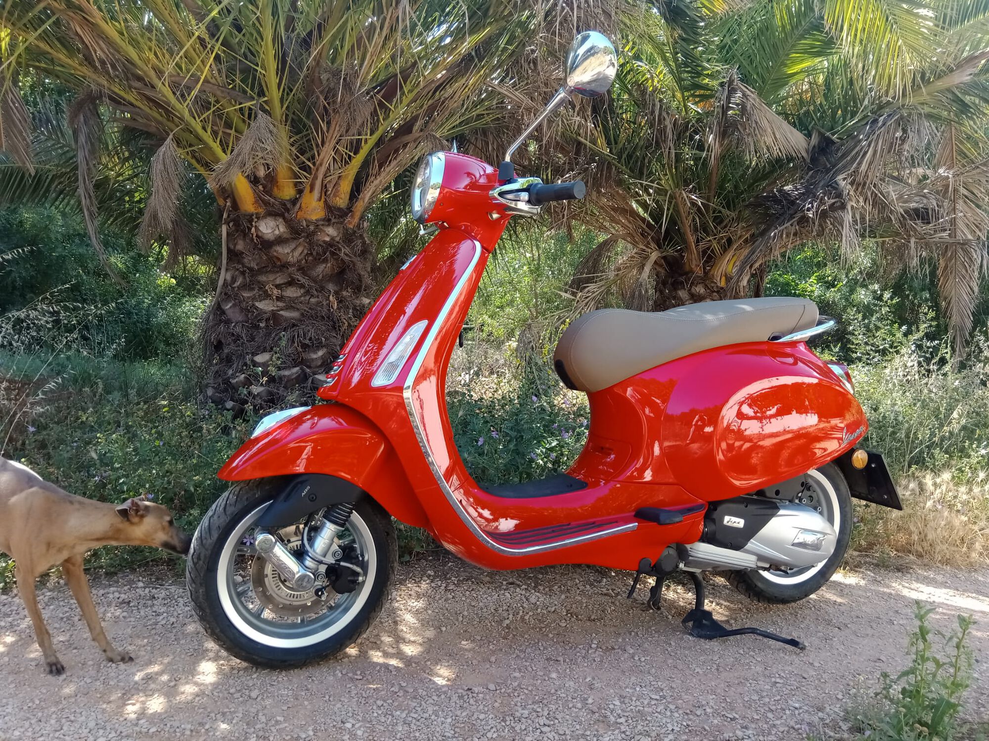 Modern Vespa : Introduction from Andalucía