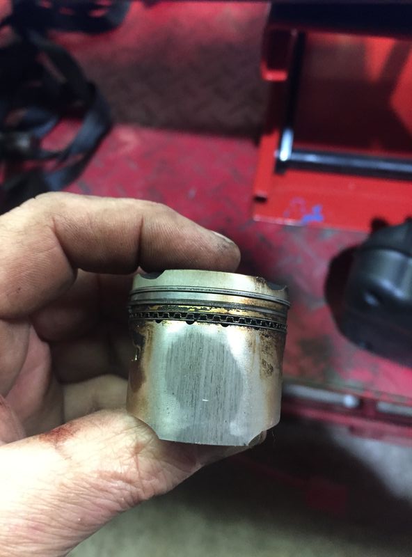 Modern Vespa : 2012 vespa S50