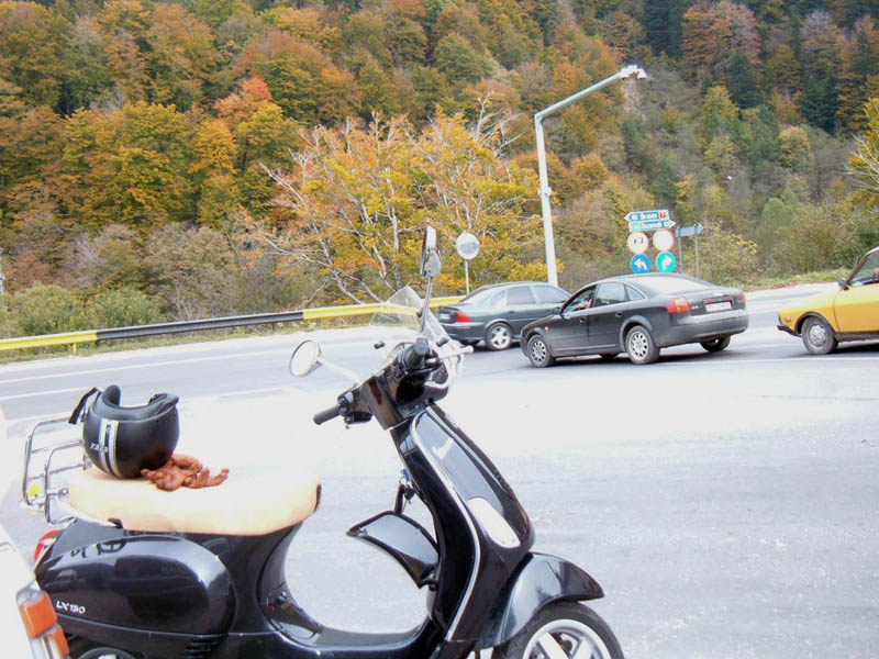 Modern Vespa : Sunday rider.