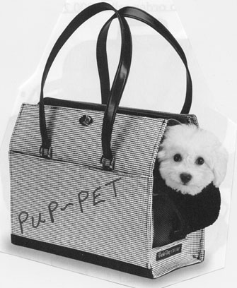 Modern Vespa : OUR PUPPY REFUSES TO GET IN THE PET CARRIER