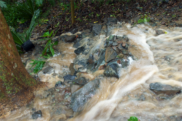 Modern Vespa : NSR: Just Venting