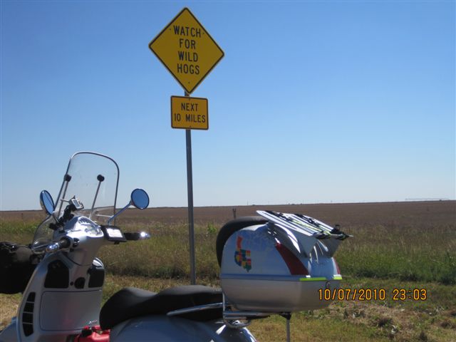 Modern Vespa : I'm no Harley Wannabe!