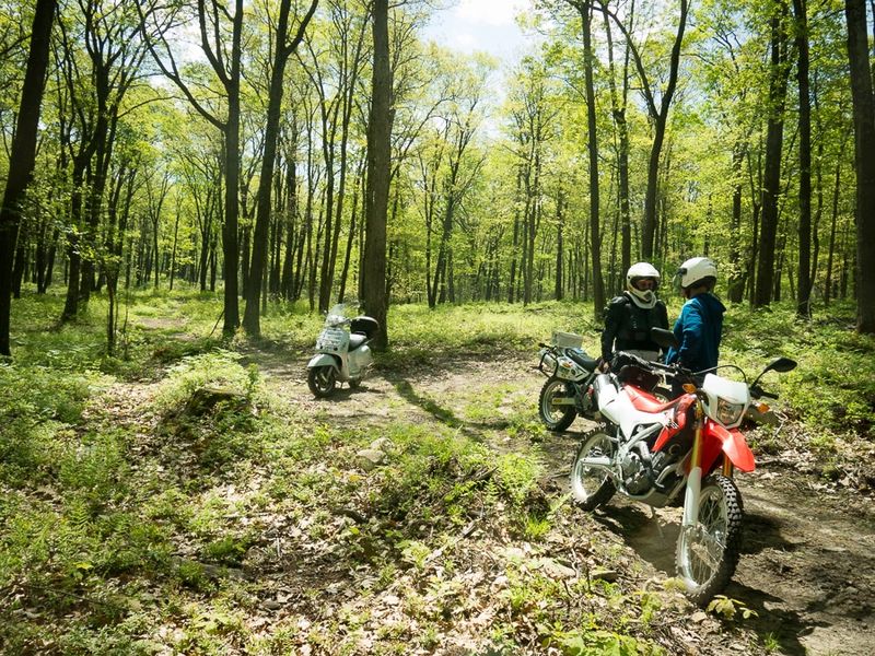 Modern Vespa : Off road with a GTS