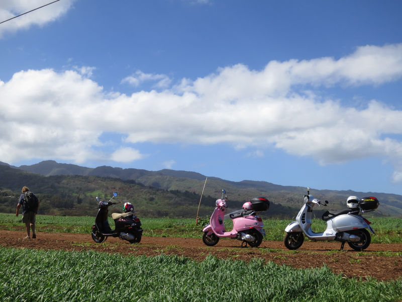 Modern Vespa : Aloha 'Oe Judy Rossman
